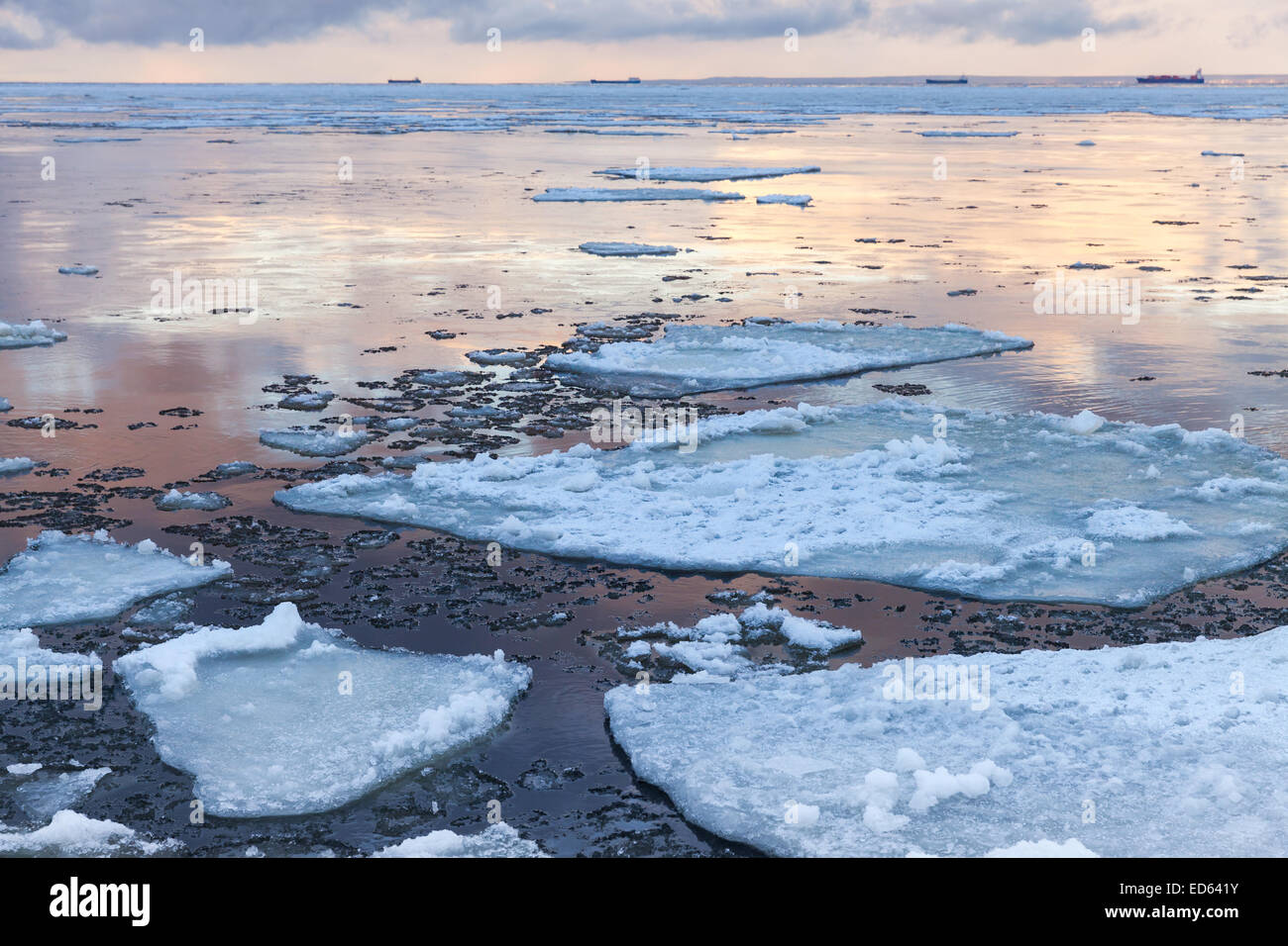Winter coastal landscape with big floating ice fragments. Gulf of ...