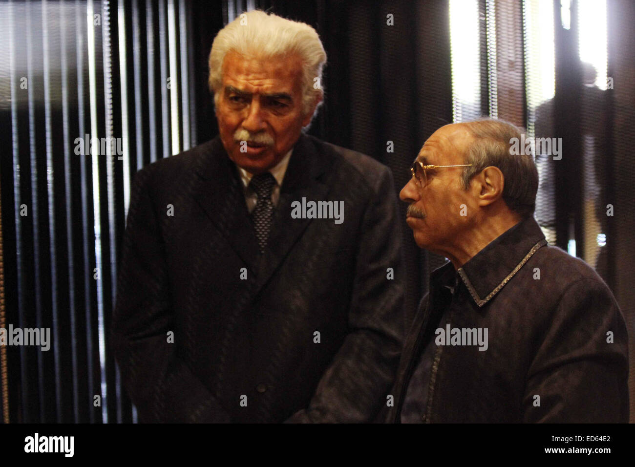 Cairo, Egypt. 29th Dec, 2014. Former Egyptian Prime Minister Ahmed ...