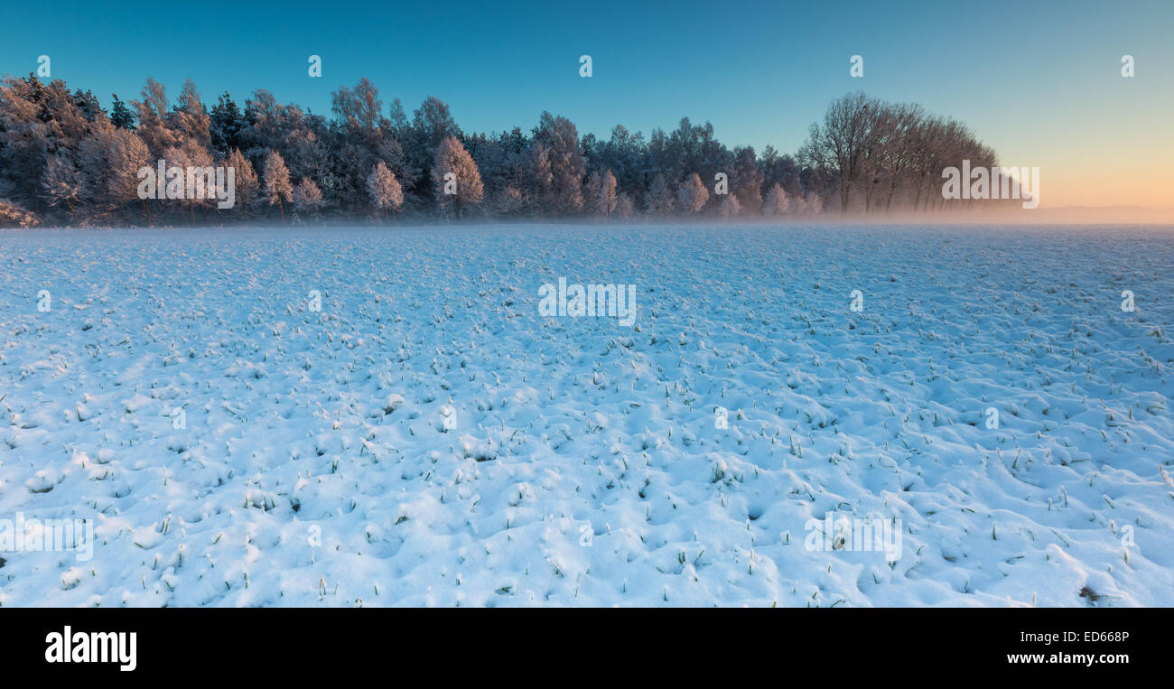 Winter snowy field landscape Stock Photo - Alamy