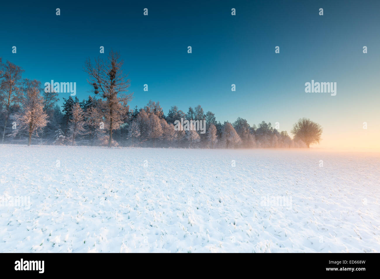 Winter snowy field landscape Stock Photo - Alamy
