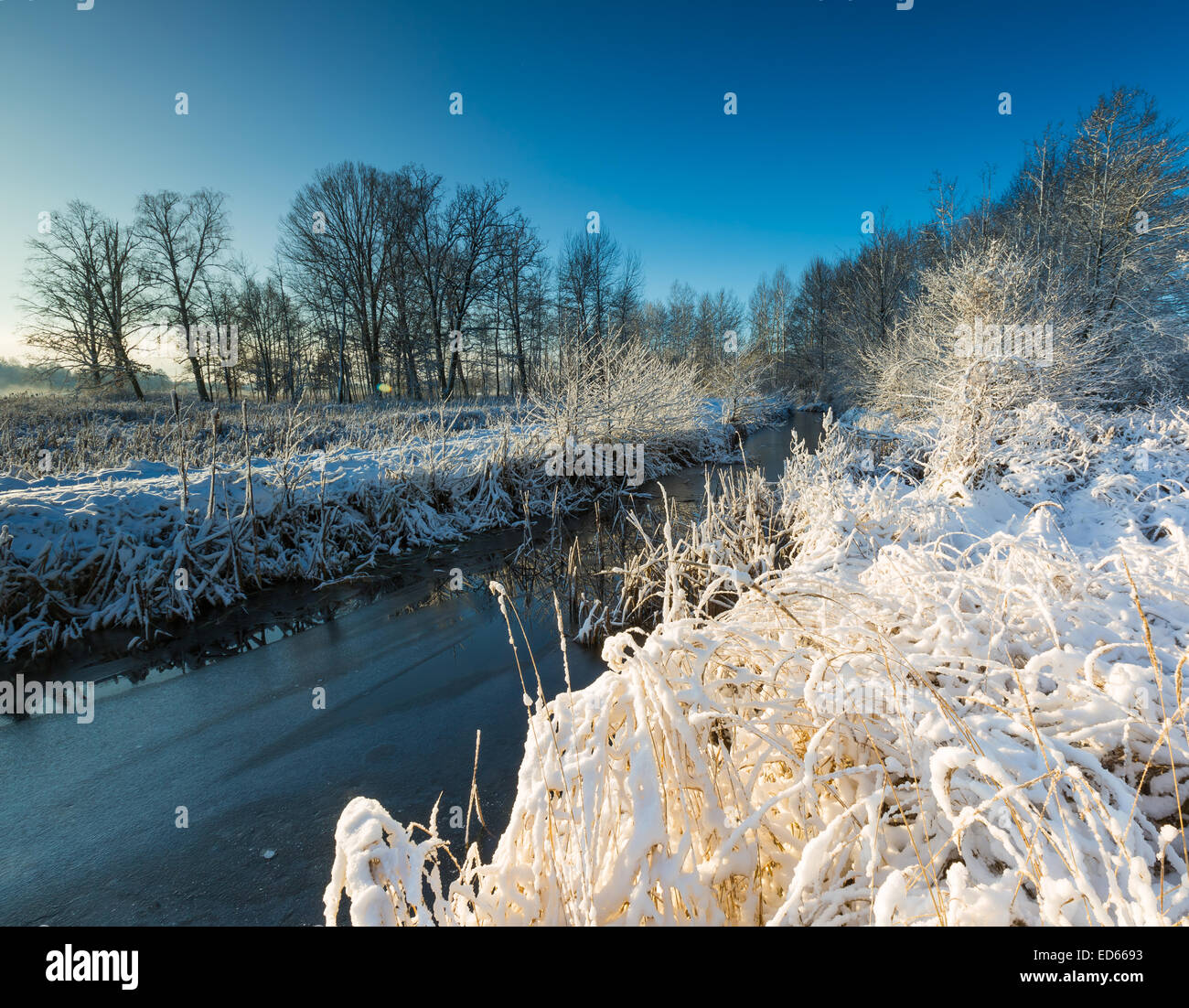 winter landscape with frosted river and plants under snow Stock Photo ...