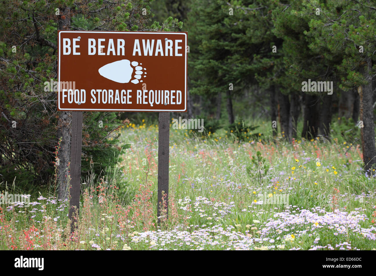 Bear country sign hi-res stock photography and images - Alamy