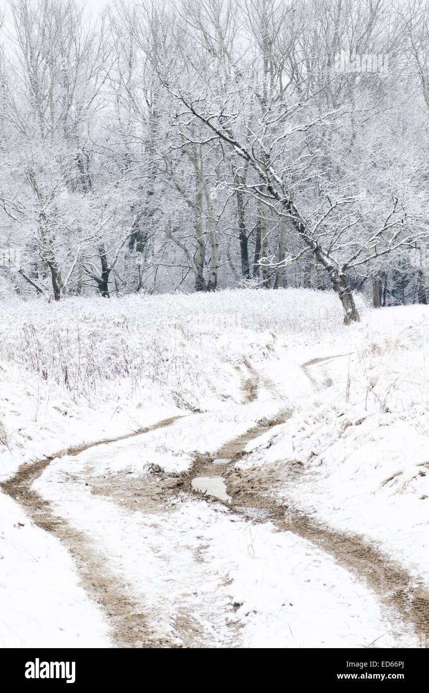 Winter country landscape trees hi-res stock photography and images - Alamy