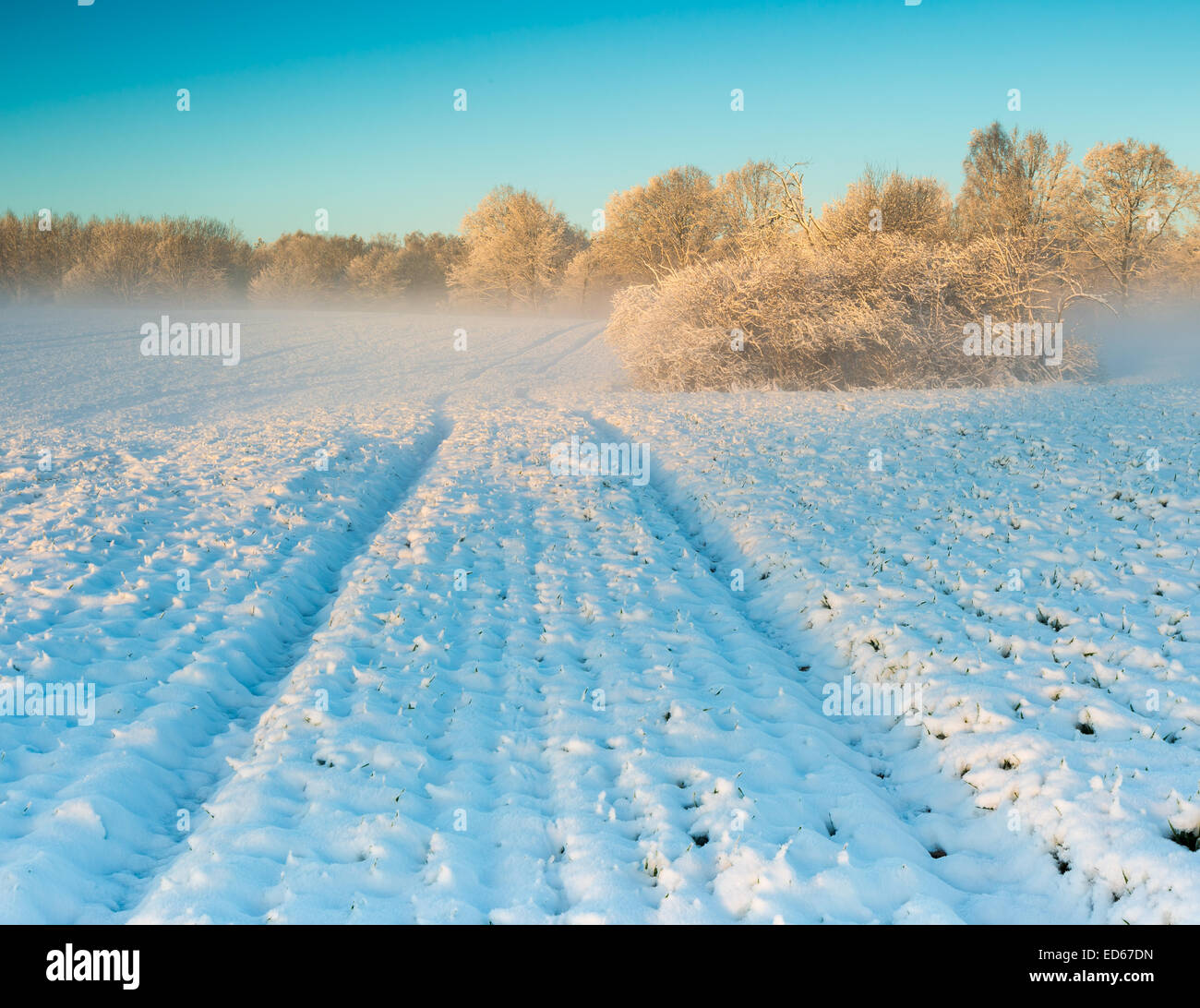 Winter snowy field landscape Stock Photo - Alamy