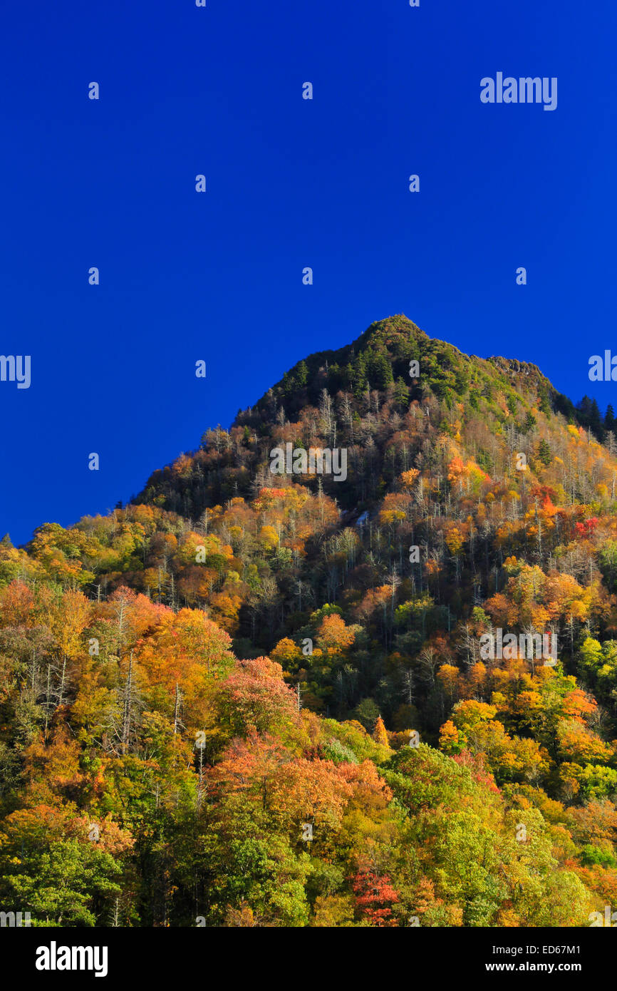 Chimney Tops, Great Smoky Mountains National Park, Tennessee, USA Stock ...