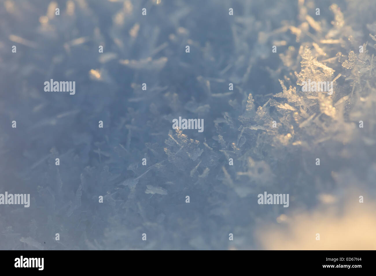close up snow crystals Stock Photo - Alamy