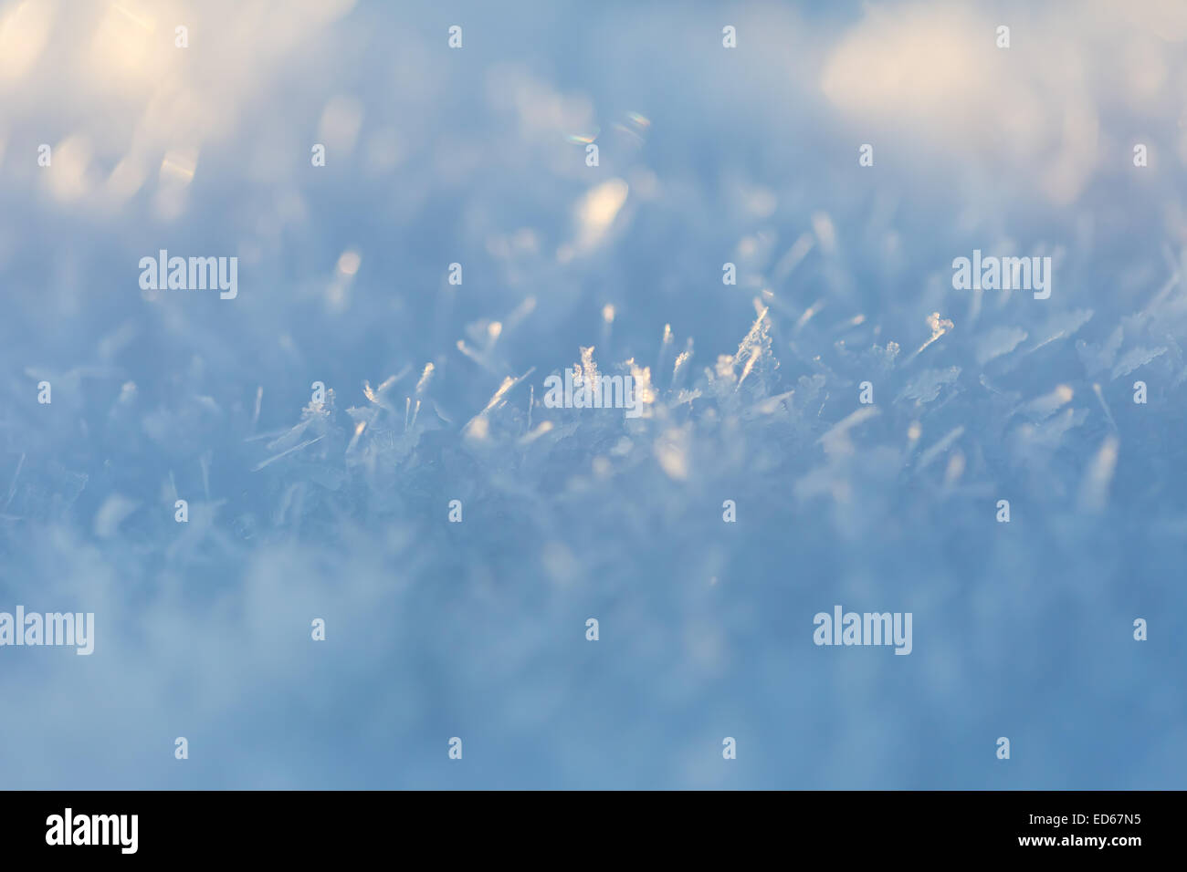 close up snow crystals Stock Photo - Alamy