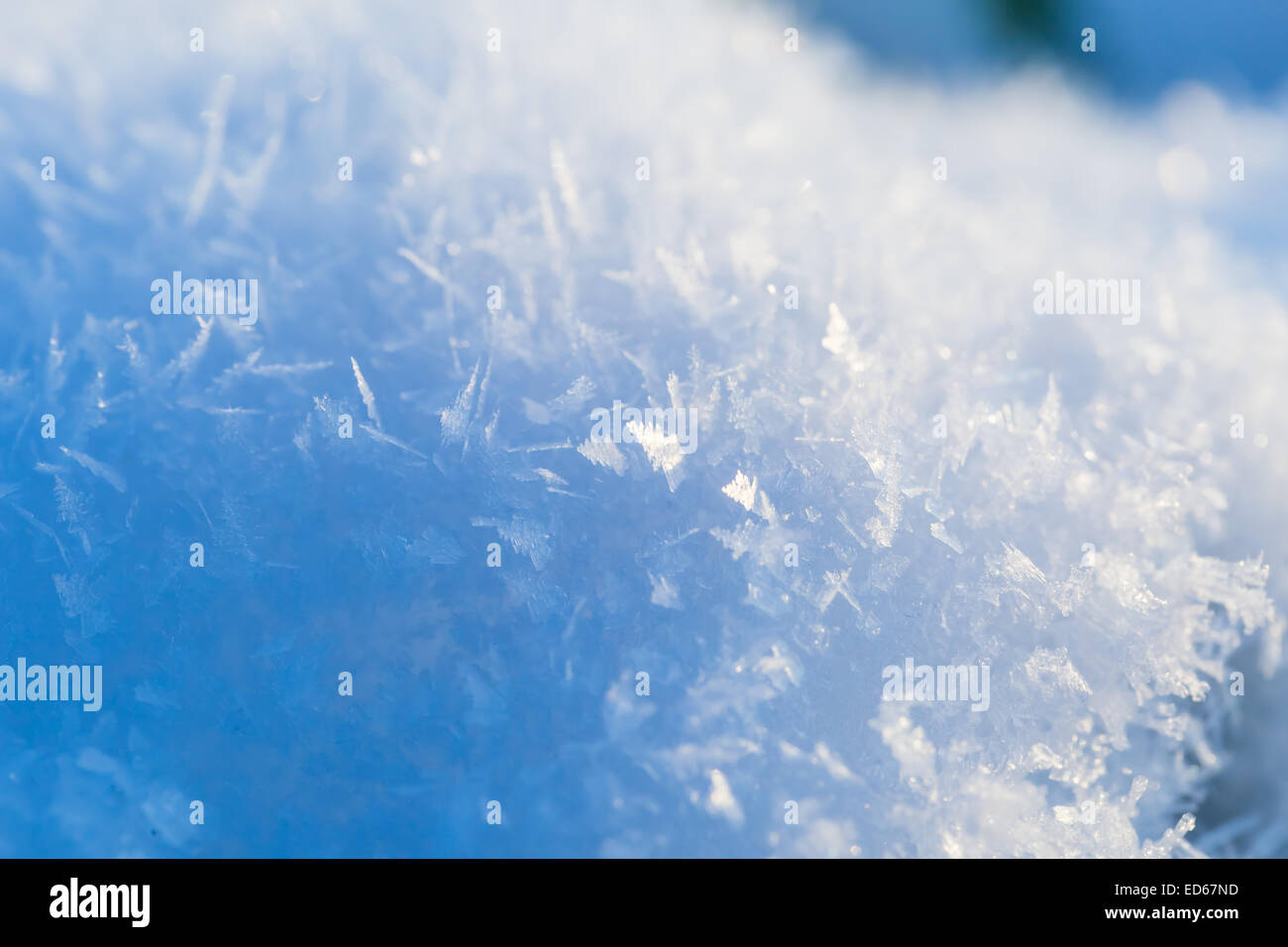 close up snow crystals Stock Photo - Alamy