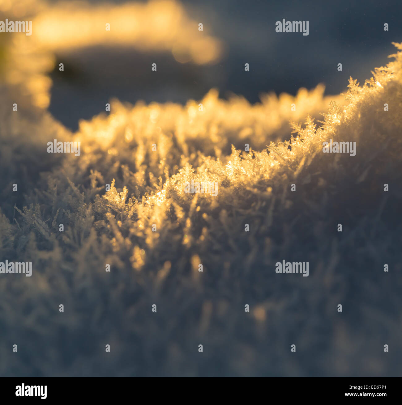 close up snow crystals Stock Photo - Alamy
