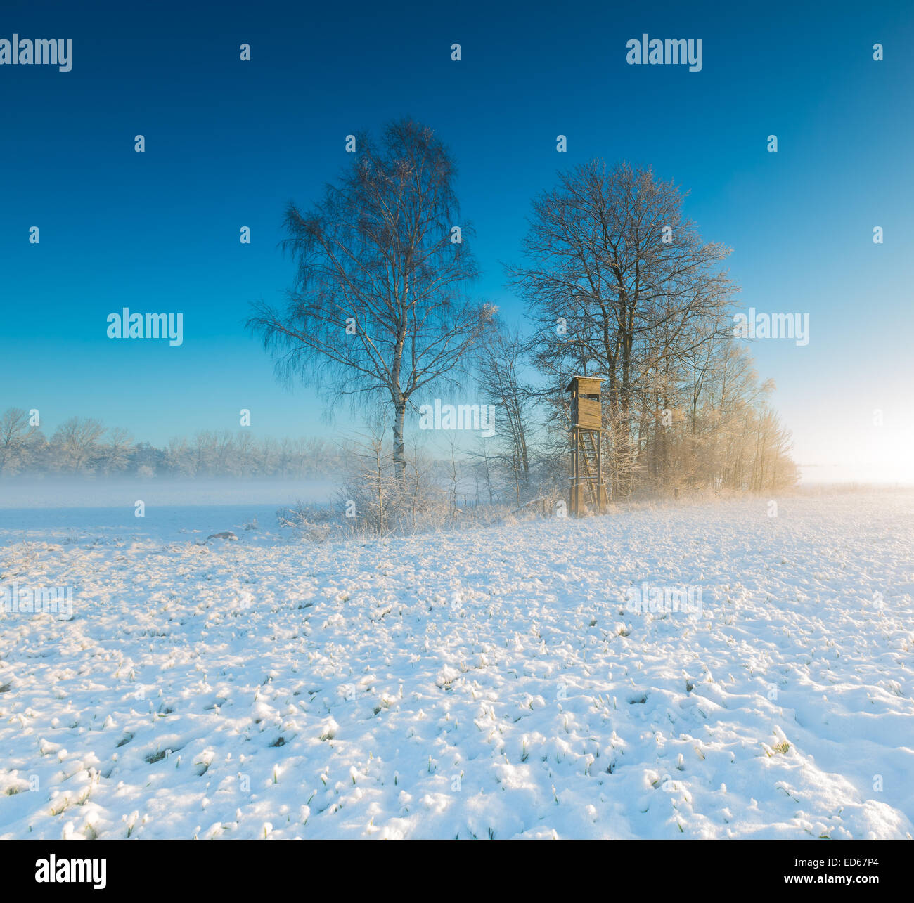 Winter snowy field landscape Stock Photo - Alamy