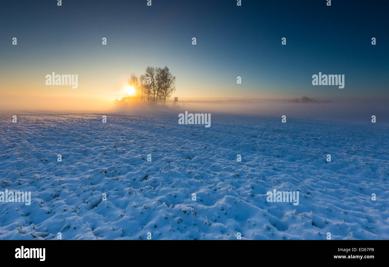 Winter snowy field landscape Stock Photo - Alamy