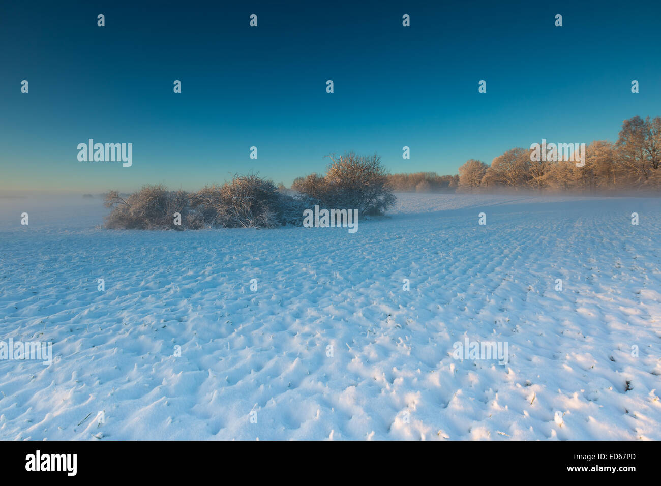 Winter snowy field landscape Stock Photo - Alamy