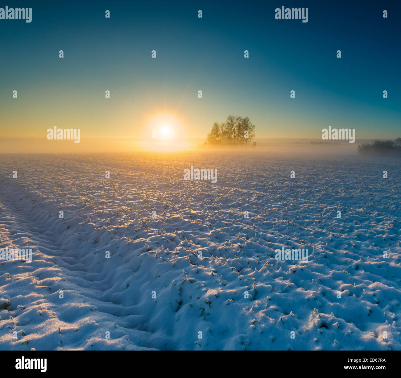 Winter snowy field landscape Stock Photo - Alamy