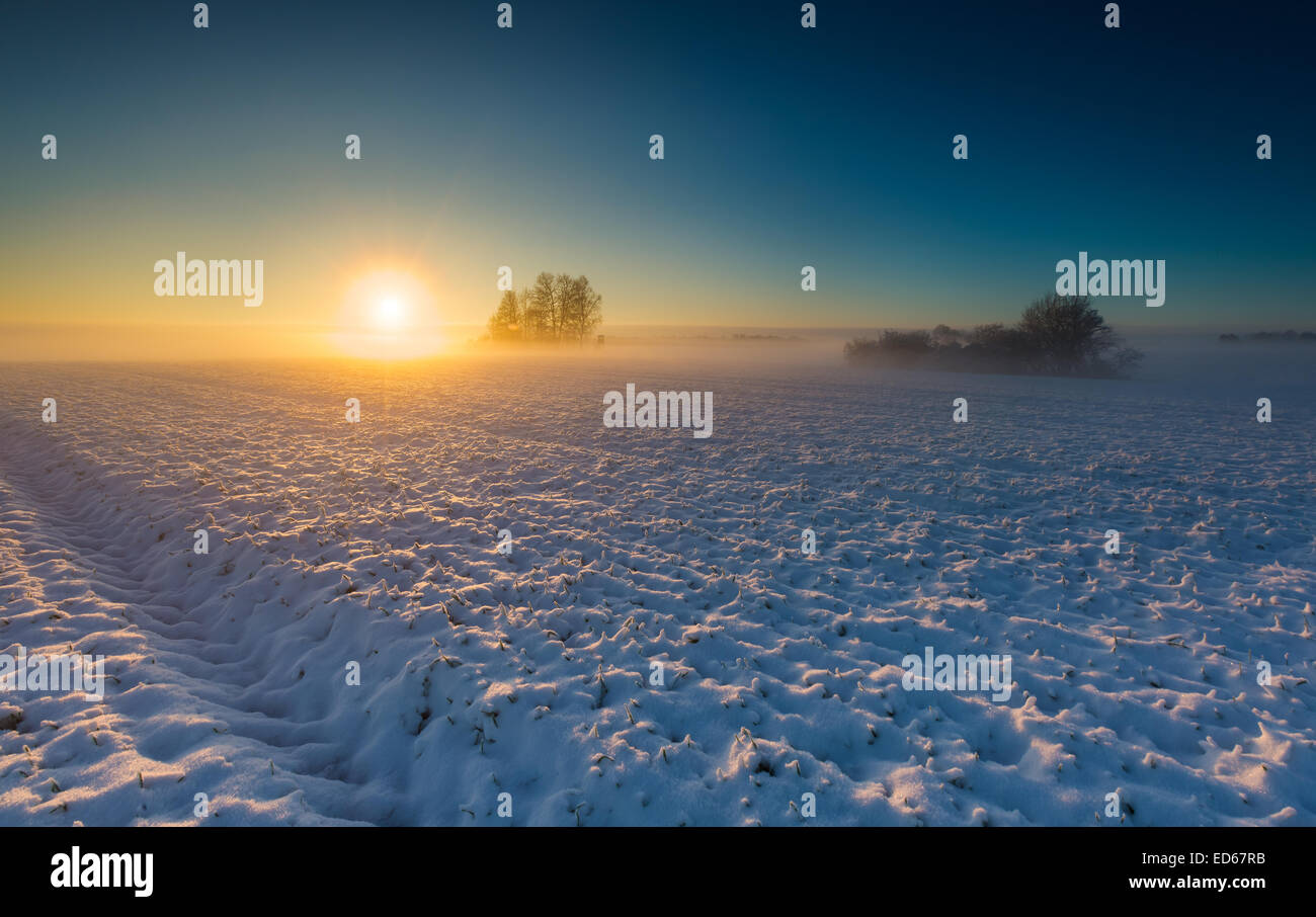 Winter snowy field landscape Stock Photo - Alamy