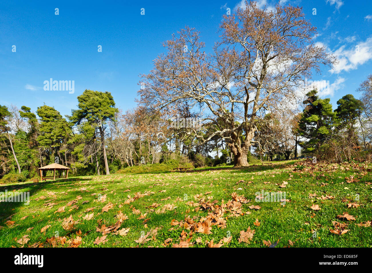 Parnitha greece hi-res stock photography and images - Alamy