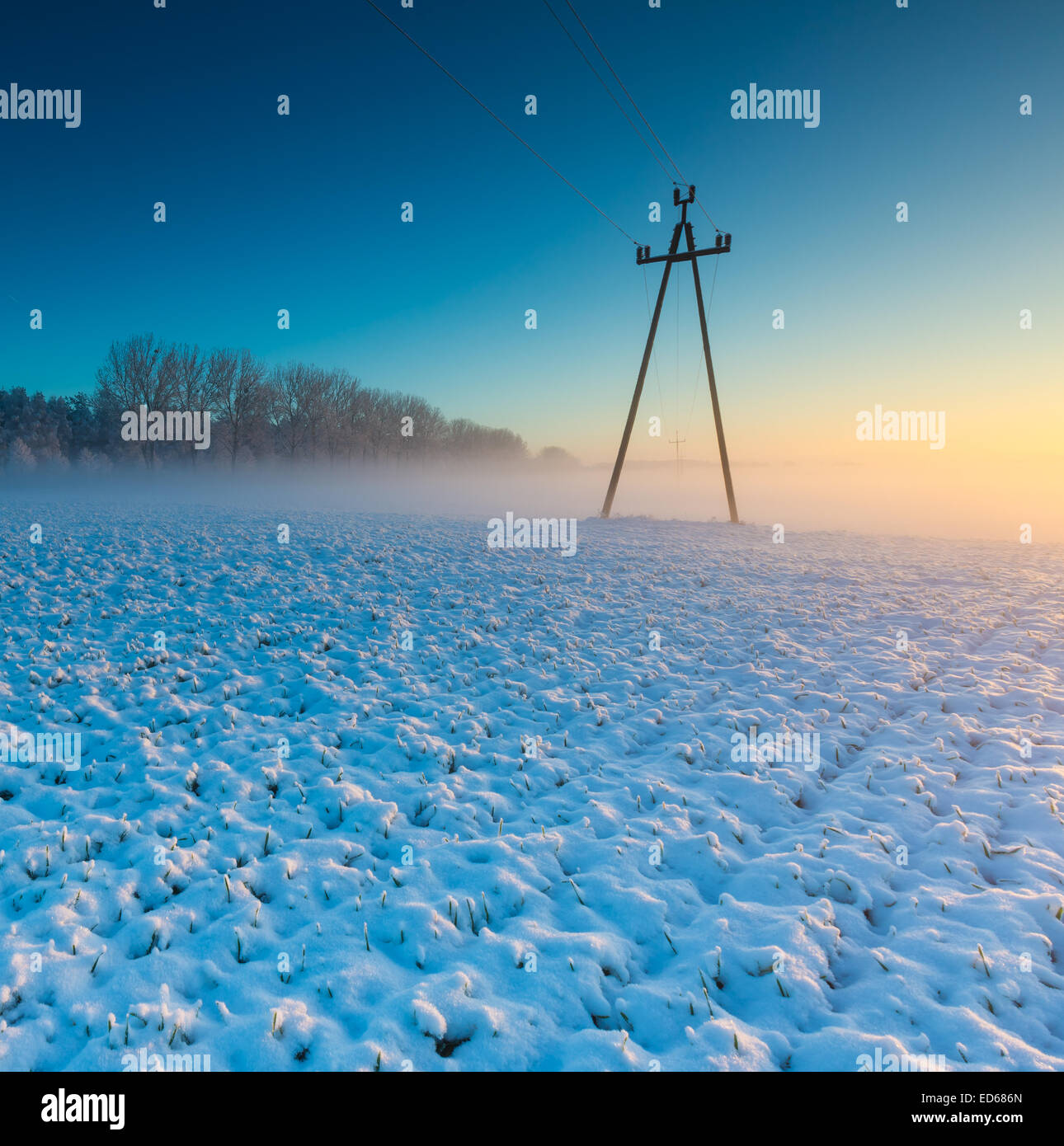 Winter snowy field landscape Stock Photo - Alamy