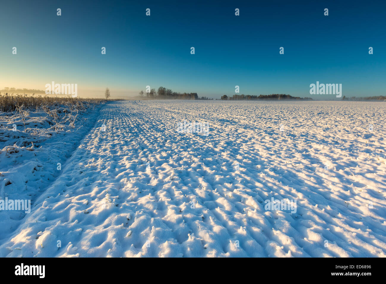 Winter snowy field landscape Stock Photo - Alamy