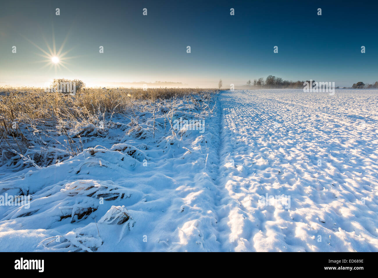 Winter snowy field landscape Stock Photo - Alamy