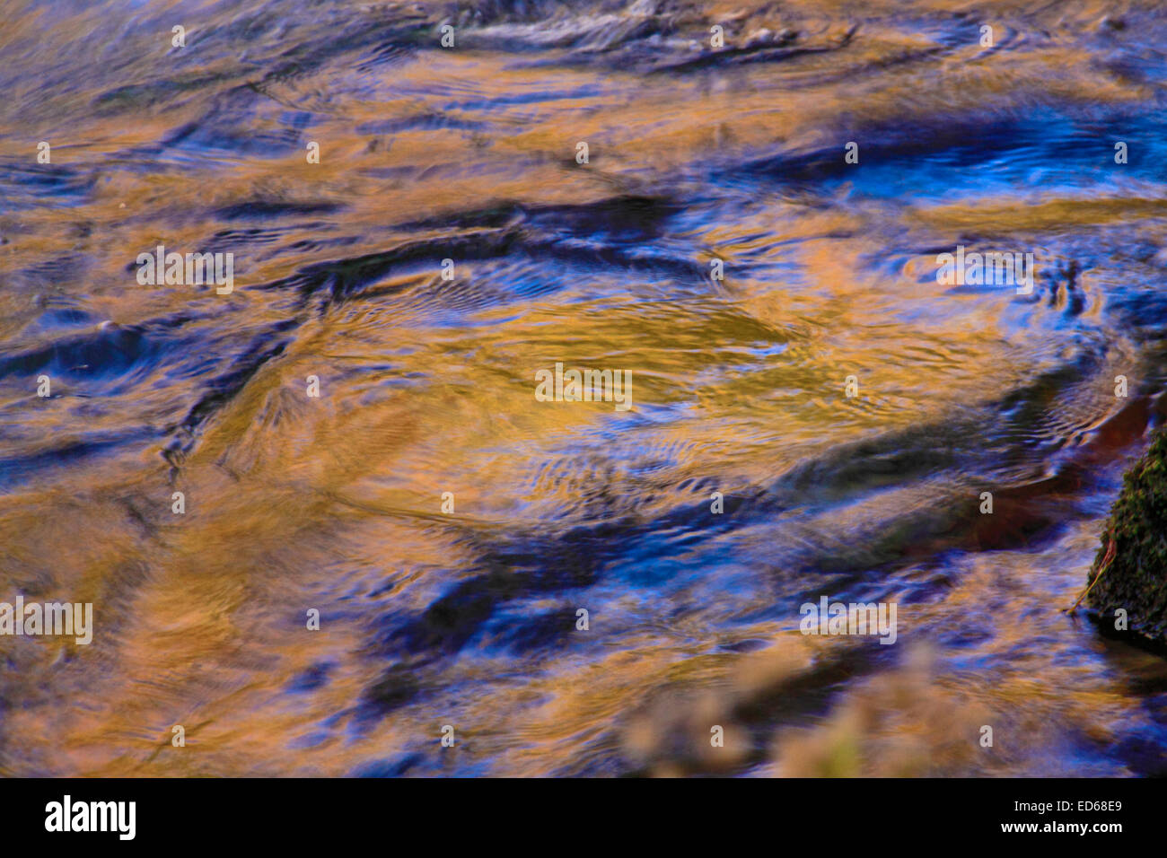 Little River, Little River Trail, Elkmont, Great Smoky Mountains ...