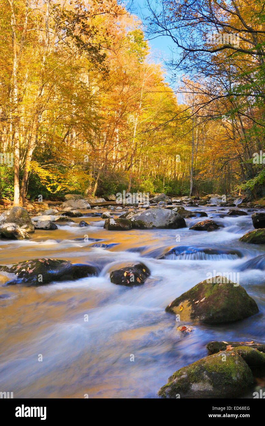 Little River, Little River Trail, Elkmont, Great Smoky Mountains ...