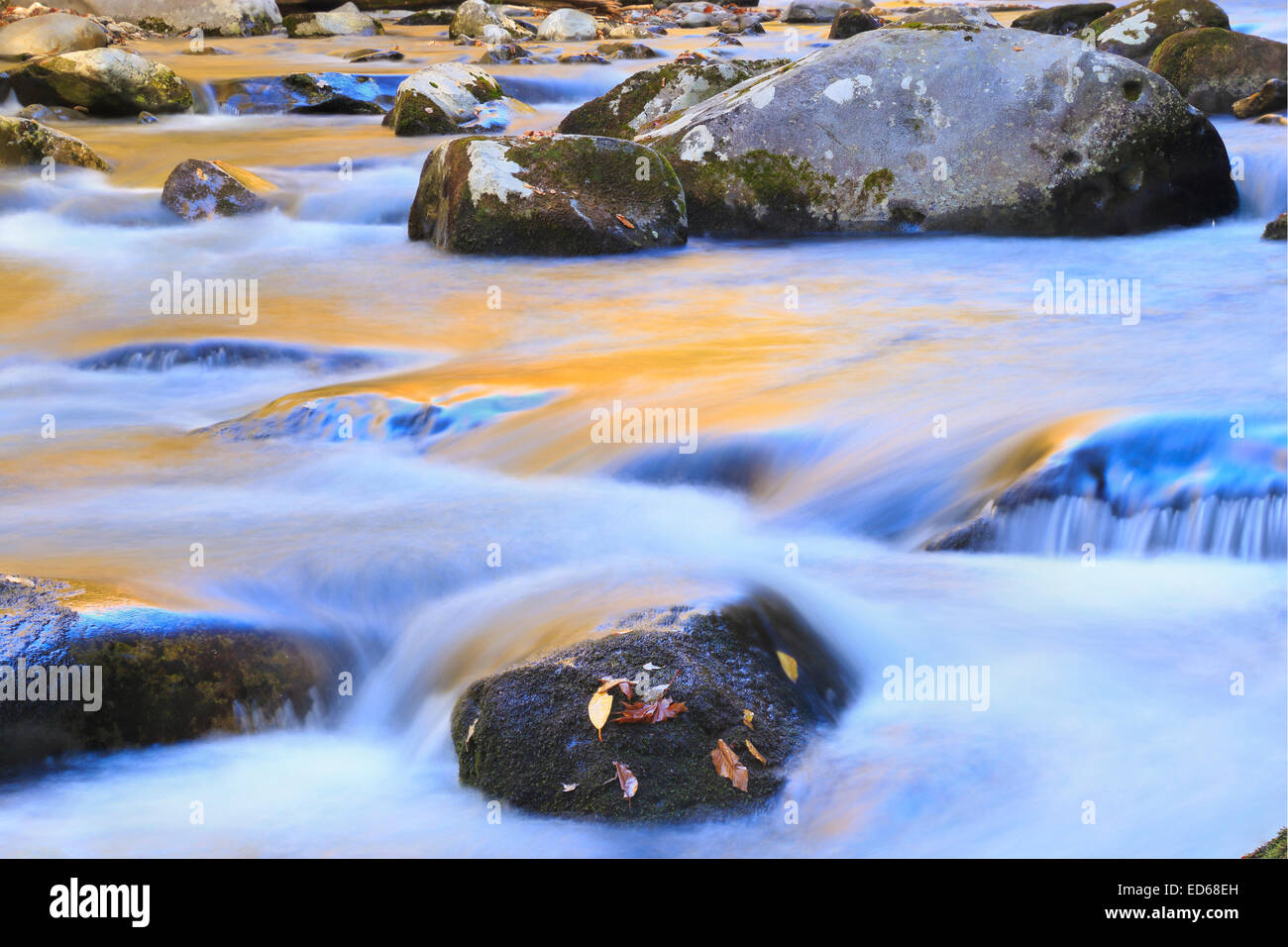 Little River, Little River Trail, Elkmont, Great Smoky Mountains ...