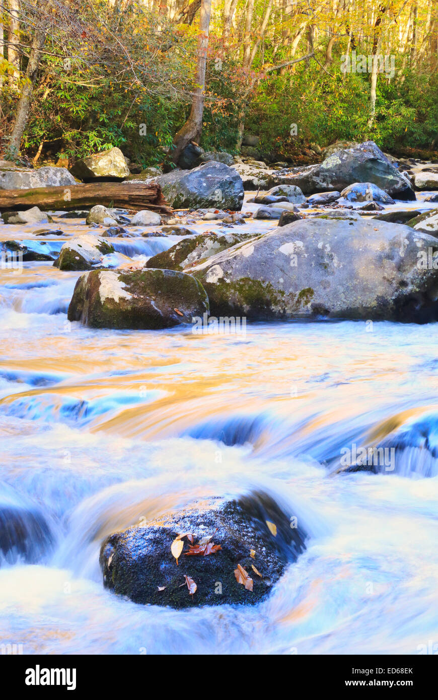 Little River, Little River Trail, Elkmont, Great Smoky Mountains ...