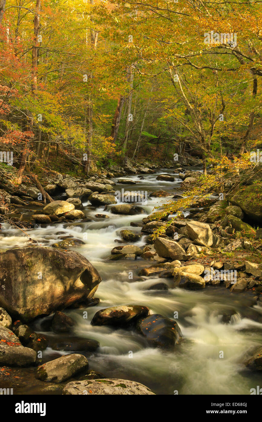 Lynn Camp Prong, Middle Prong Trail, Tremont, Great Smoky Mountains ...