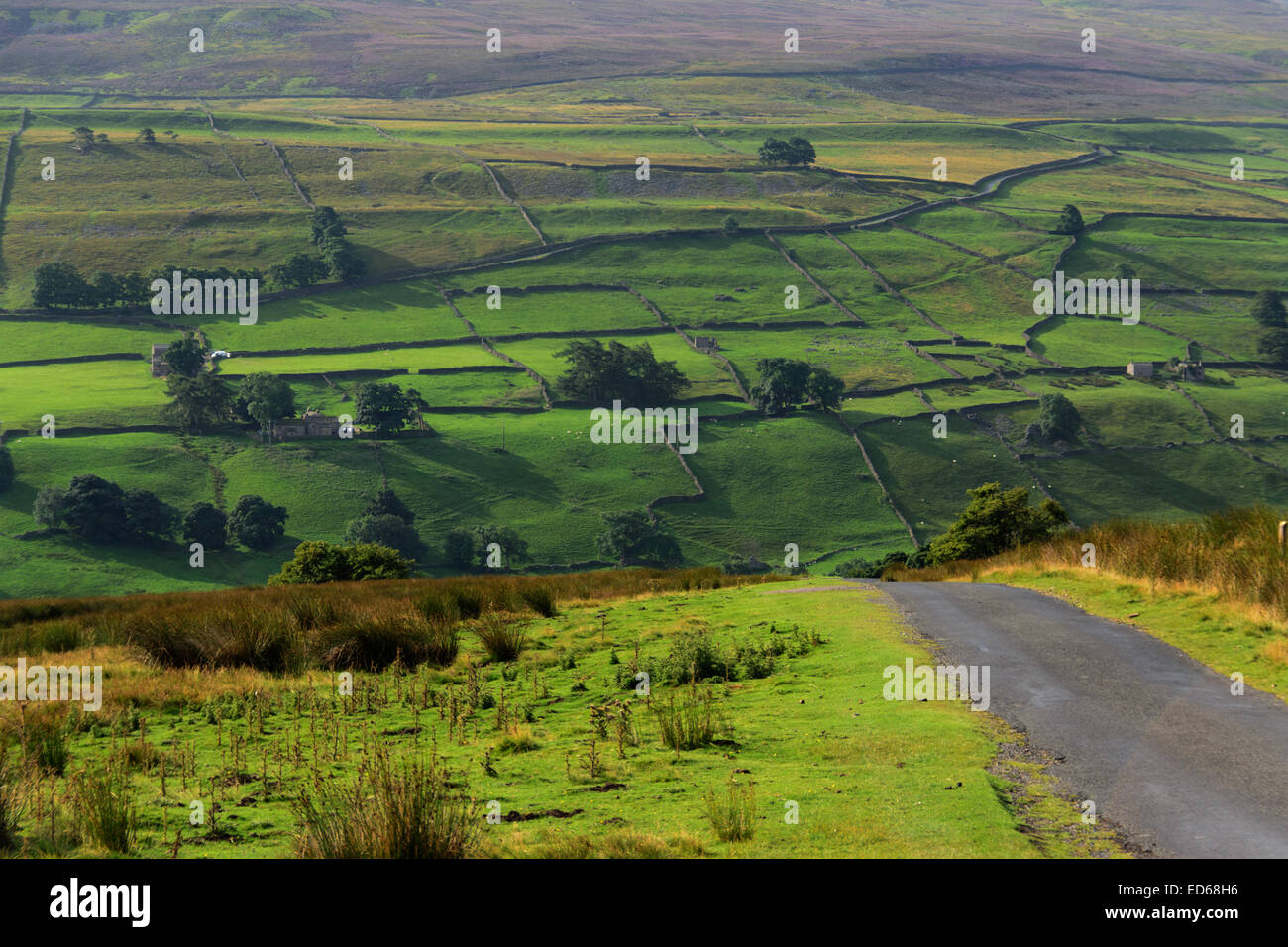 The layers of Swaledale looking down towards Low Row in the Yorkshire ...