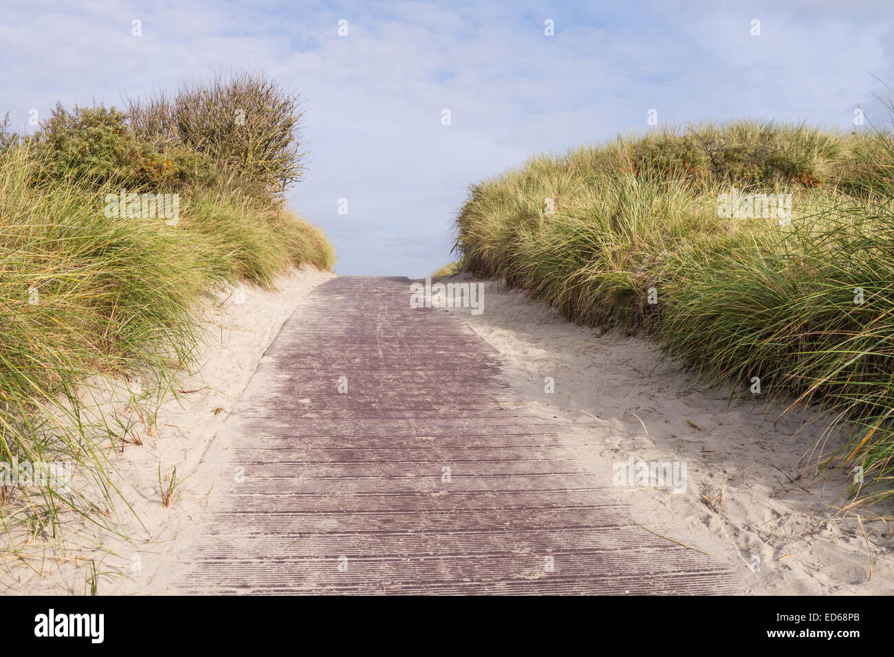 Beach between dunes and north sea hi-res stock photography and images ...