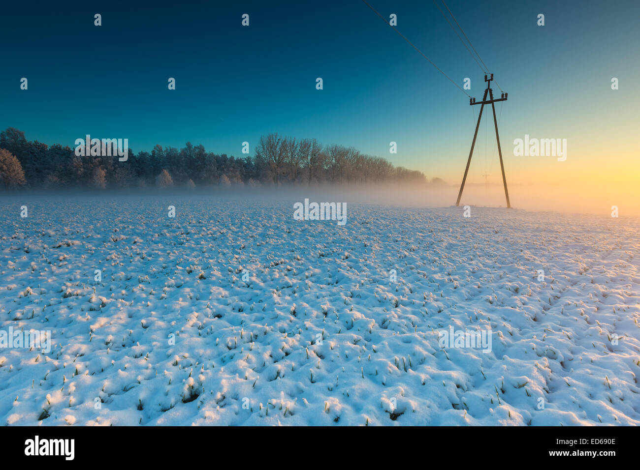 Winter snowy field landscape Stock Photo - Alamy