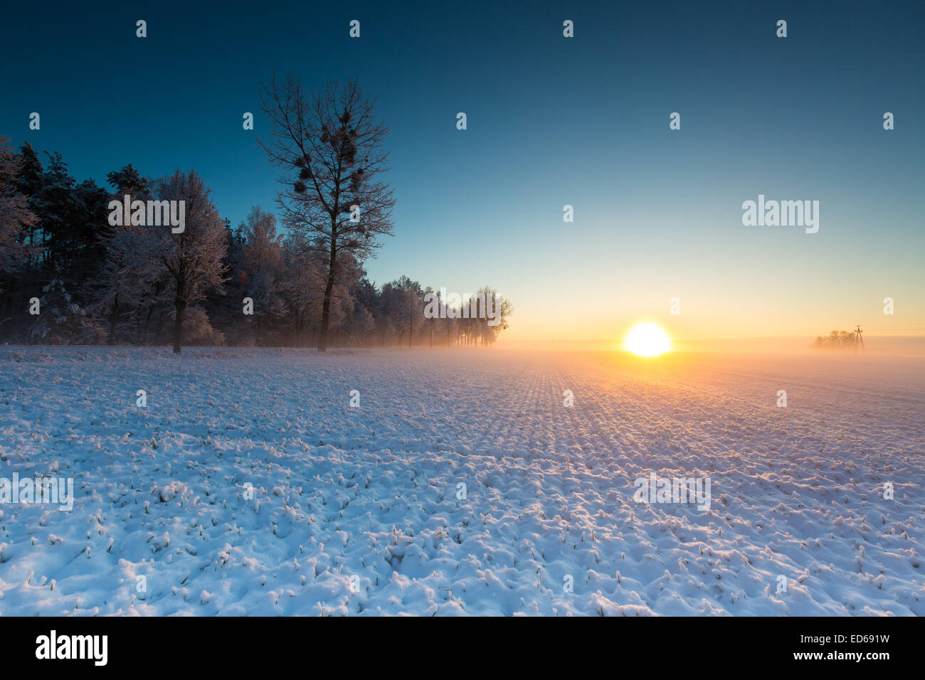 Winter snowy field landscape Stock Photo - Alamy