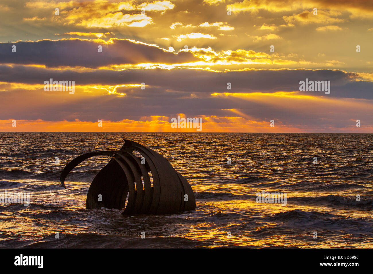Mary's shell metal beach sculpture by Stephen Broadbent Thornton ...