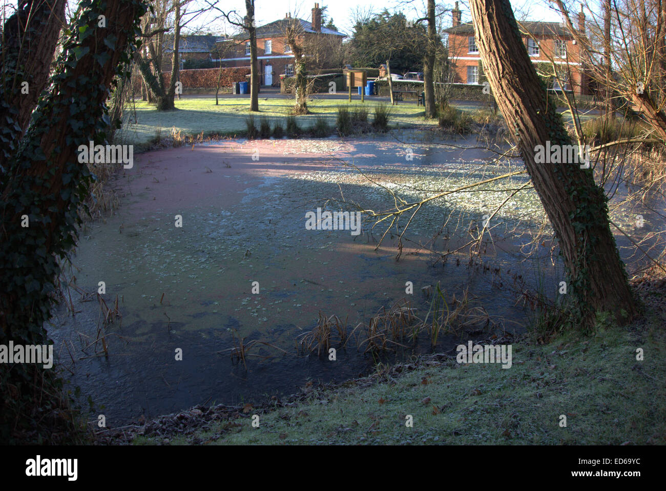 Twinkling twigs hi-res stock photography and images - Alamy
