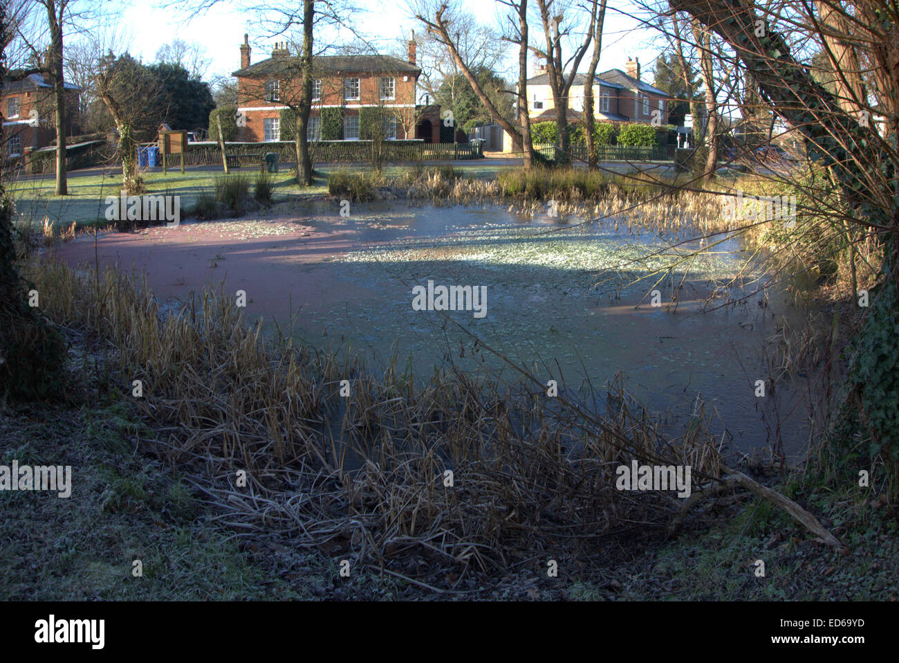 Village ponds hi-res stock photography and images - Alamy