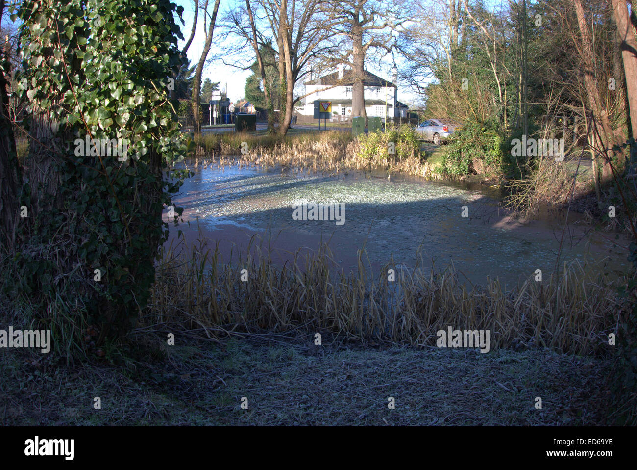 Twinkling twigs hi-res stock photography and images - Alamy