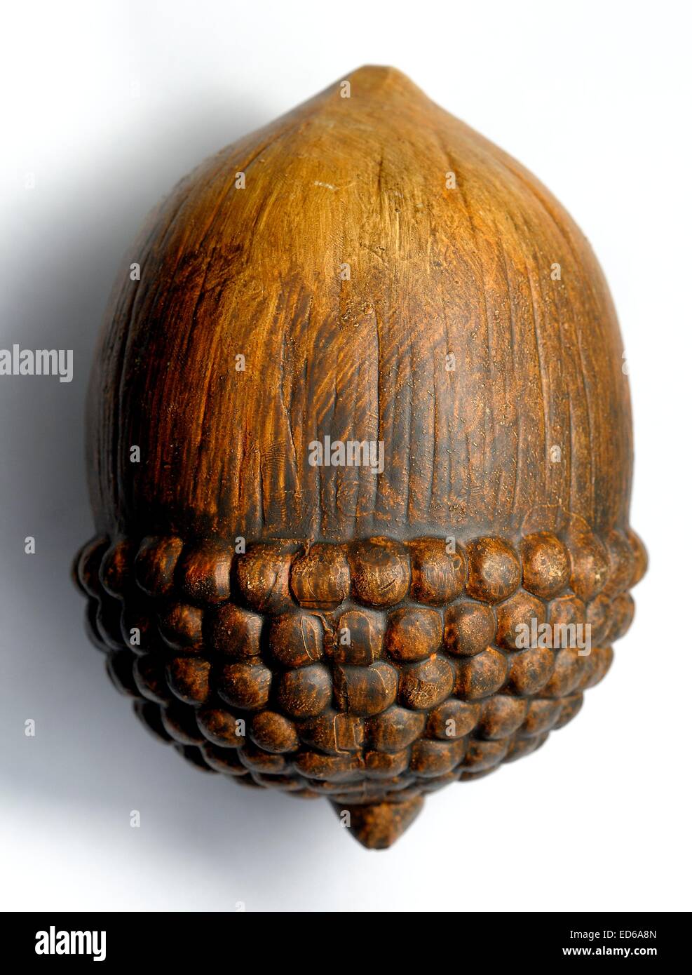 A Ceramic pot acorn Stock Photo - Alamy