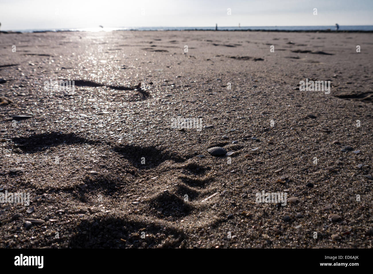Foot footprint hi-res stock photography and images - Alamy