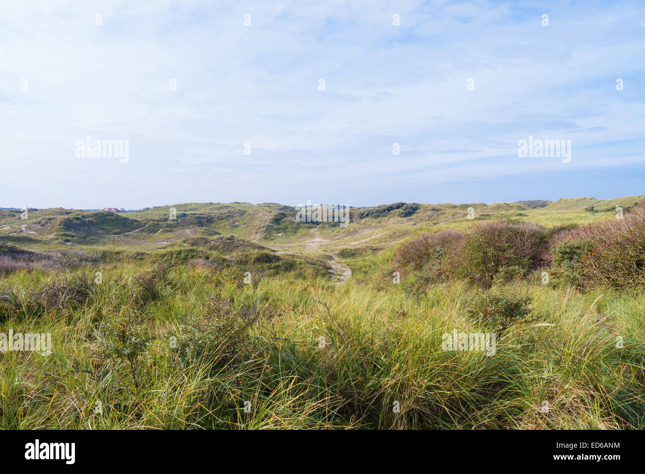 dune landscape (norderney, north sea Stock Photo - Alamy