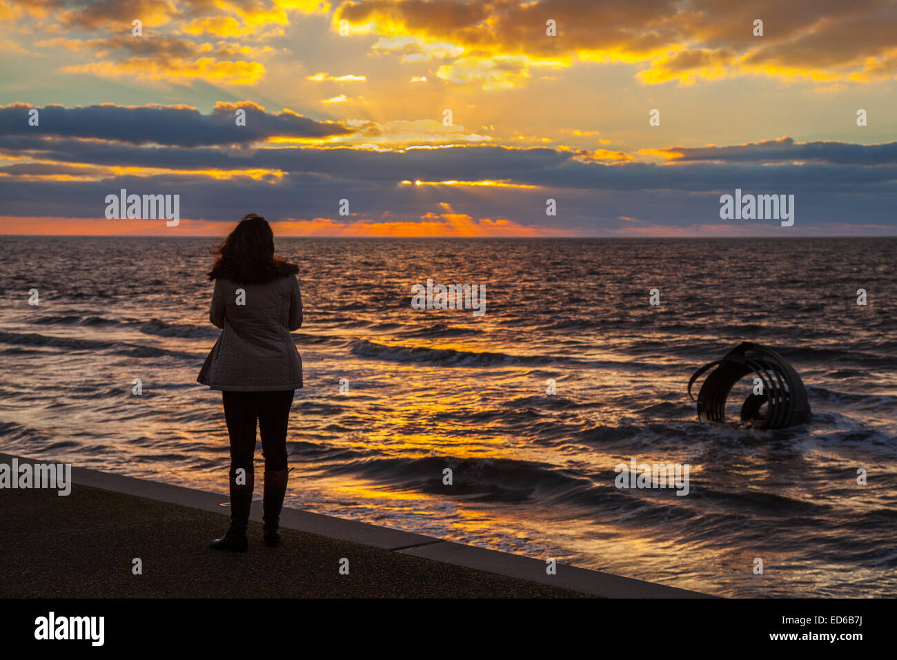 Mary's shell metal beach sculpture by Stephen Broadbent Thornton ...