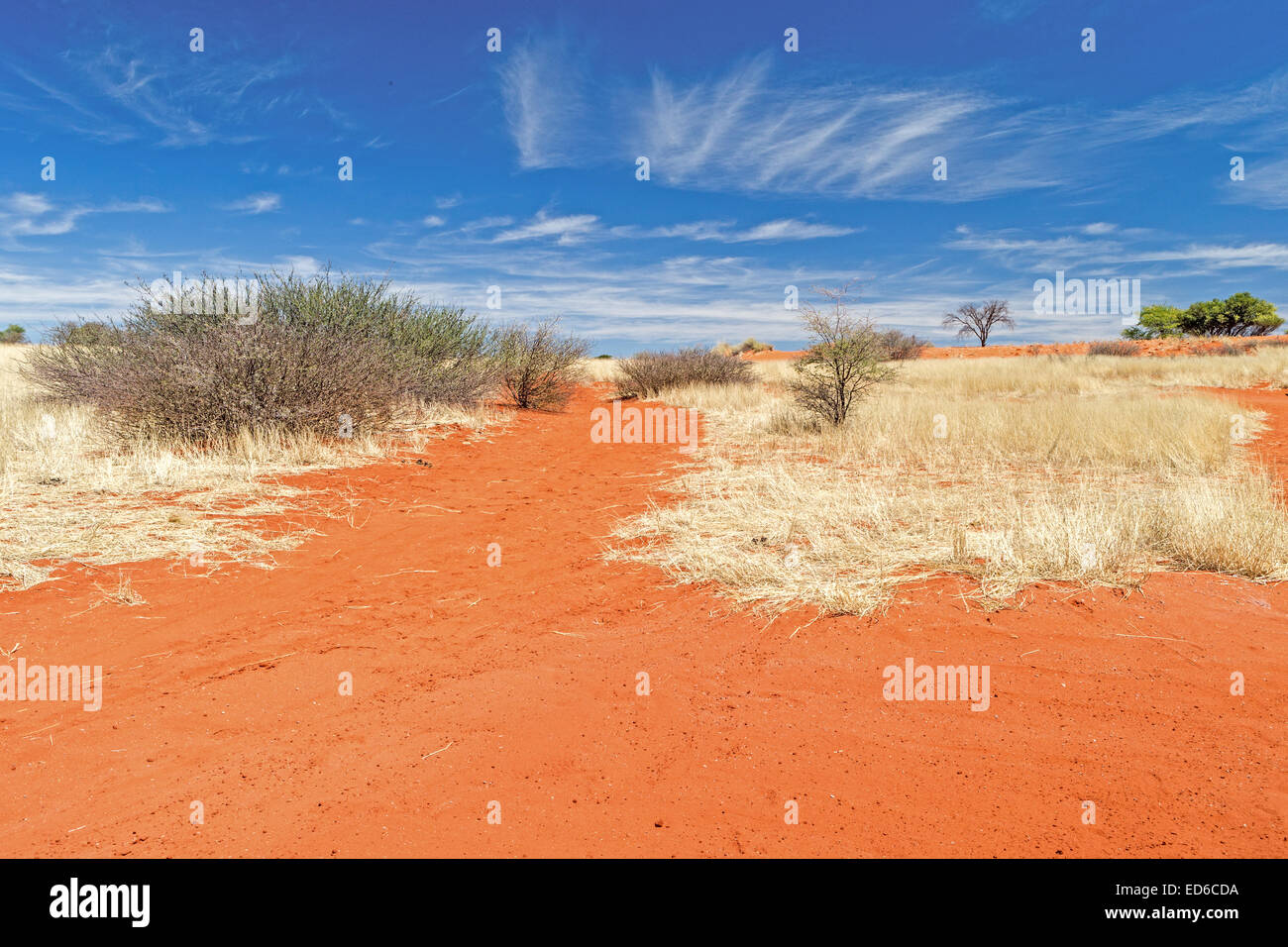 Kalahari sands hi-res stock photography and images - Alamy