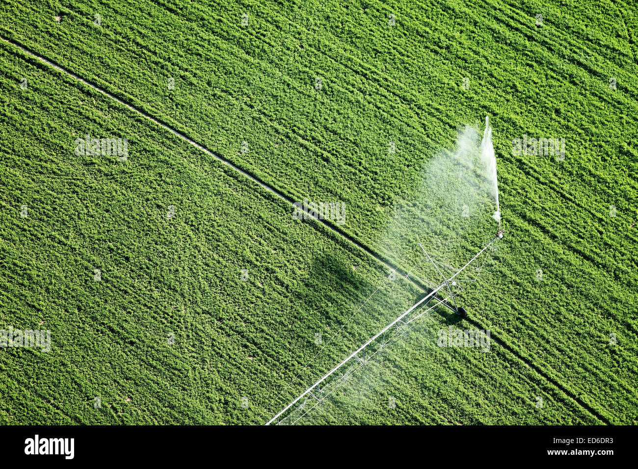 Center pivot irrigation hi-res stock photography and images - Alamy