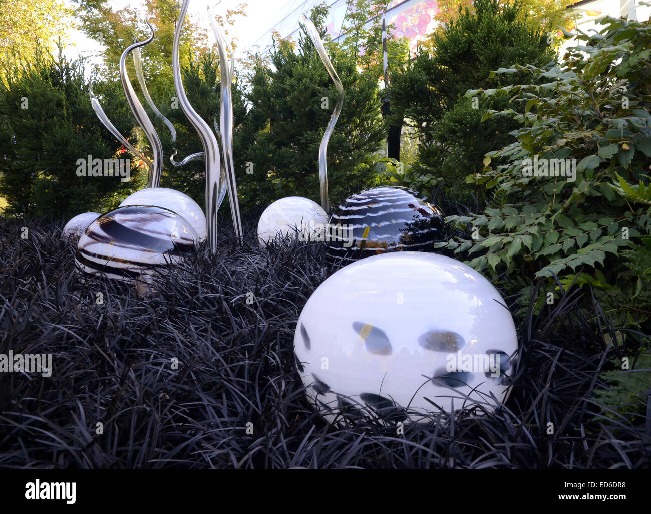 Dale Chihuly glass sculpture, Chihuly Garden and Glass, Seattle Stock ...