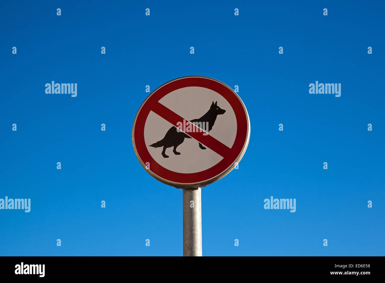 Dog restriction sign hi-res stock photography and images - Alamy