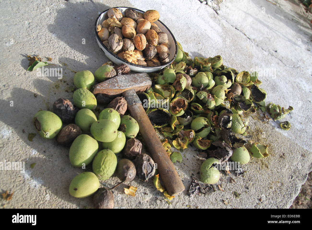 Food processing bowl hi-res stock photography and images - Alamy