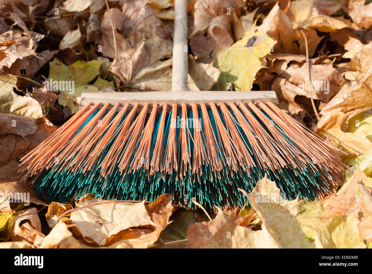 Leaf Rake Stock Photos & Leaf Rake Stock Images - Alamy