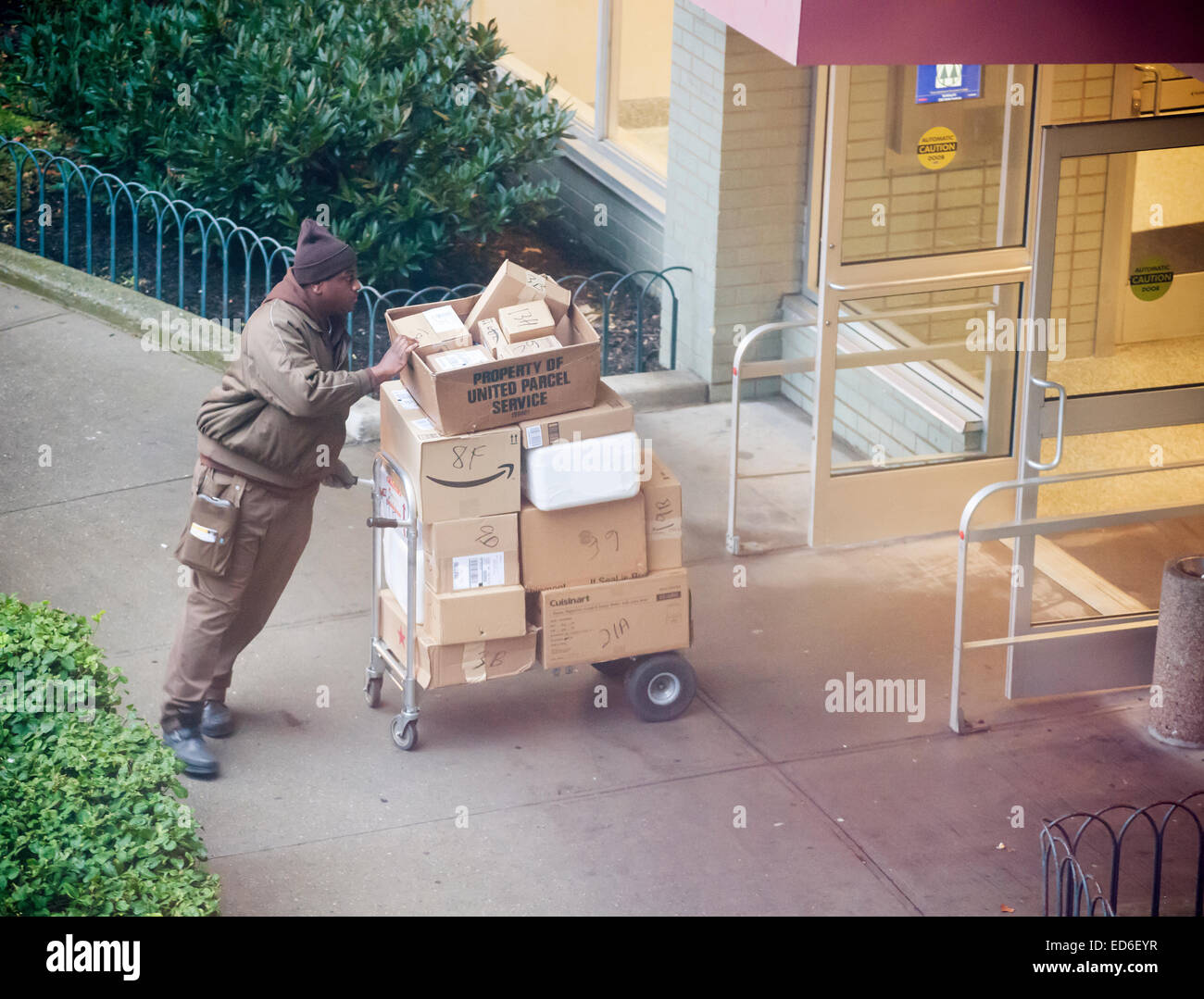 A UPS worker with his last minute Christmas deliveries enter an ...