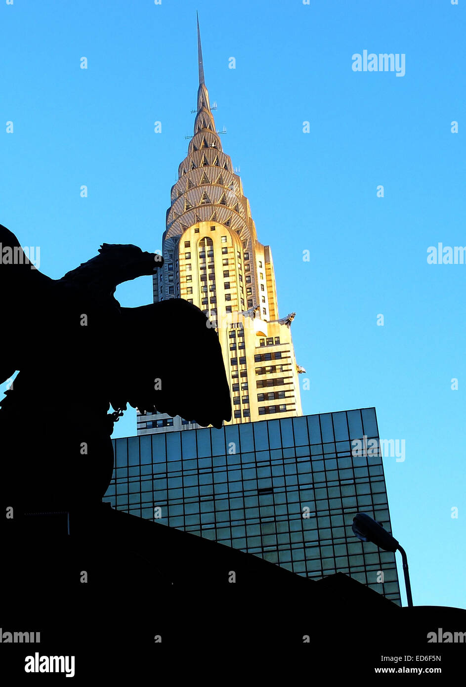 Chrysler building in the background with the silhouette of a bird in ...