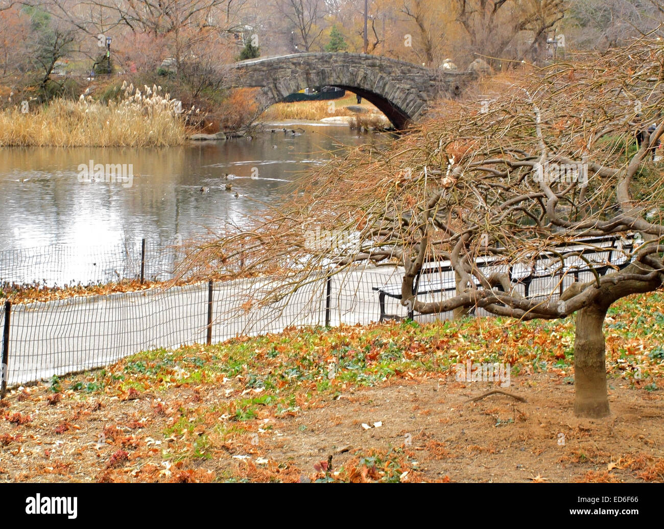 An old stone Bridge in Central Park, New York City Stock Photo - Alamy