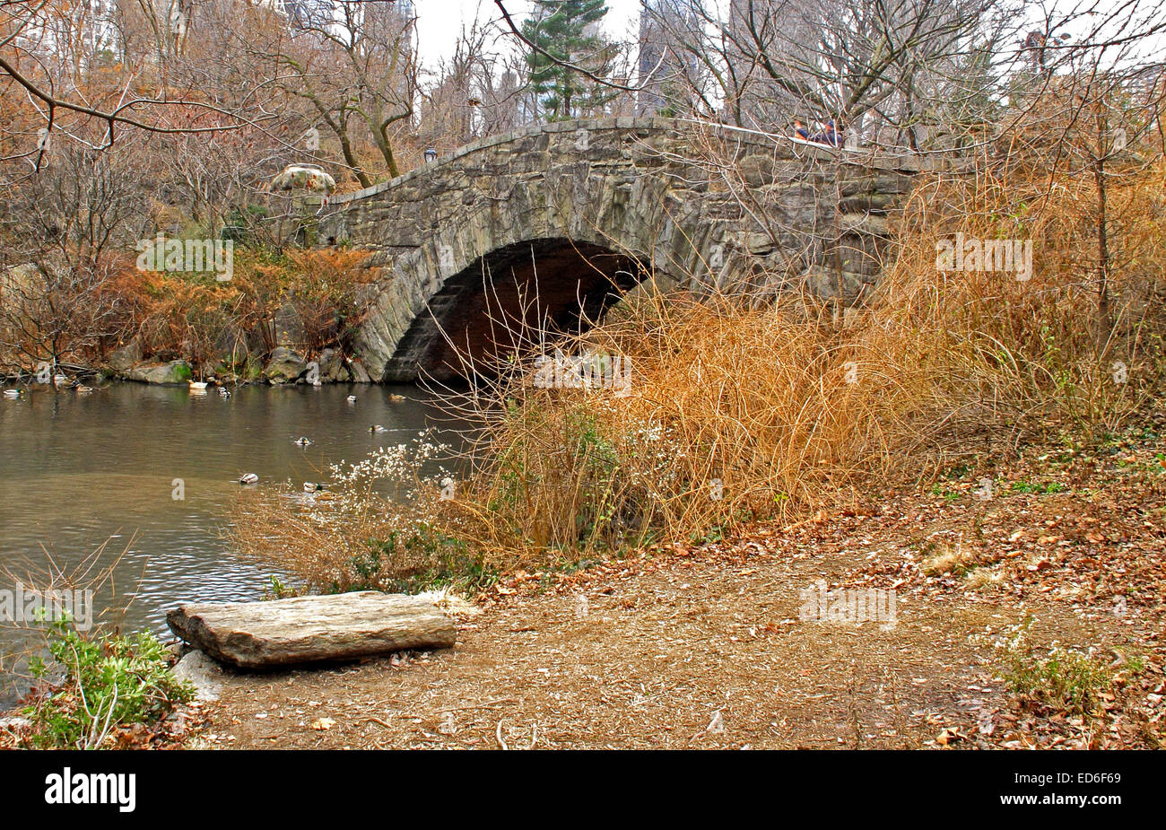 An old stone Bridge in Central Park, New York City Stock Photo - Alamy