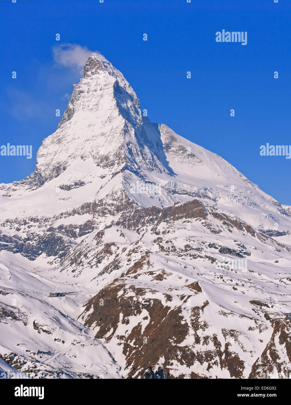 Closeup of Matther Stock Photo - Alamy